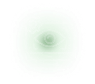 Computer Vision Services and Solutions | Computer Vision AI